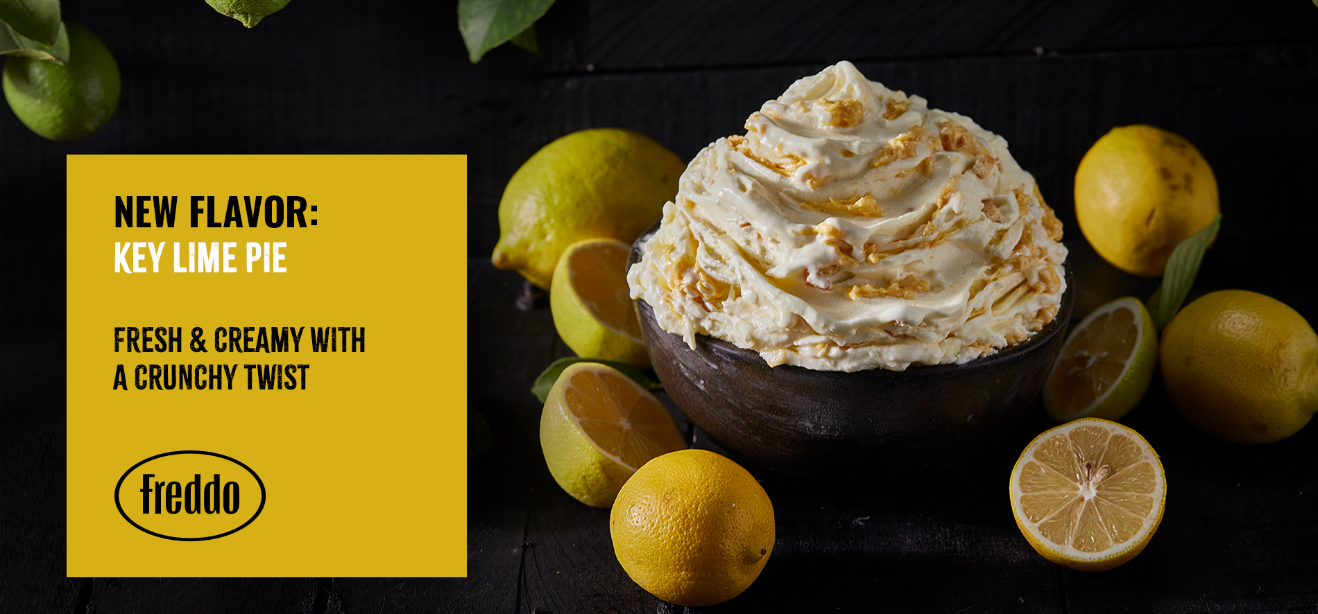 Freddo Gelato - Freddo | Traditional Gelato